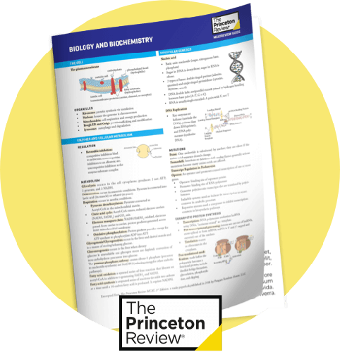 Guide to the AP Spanish Language & Culture Exam | The Princeton Review