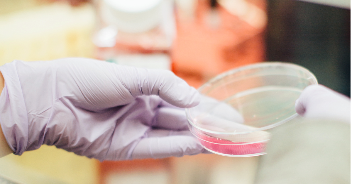 6 Ways for Pre-Meds to Gain Research Experience | The Princeton Review